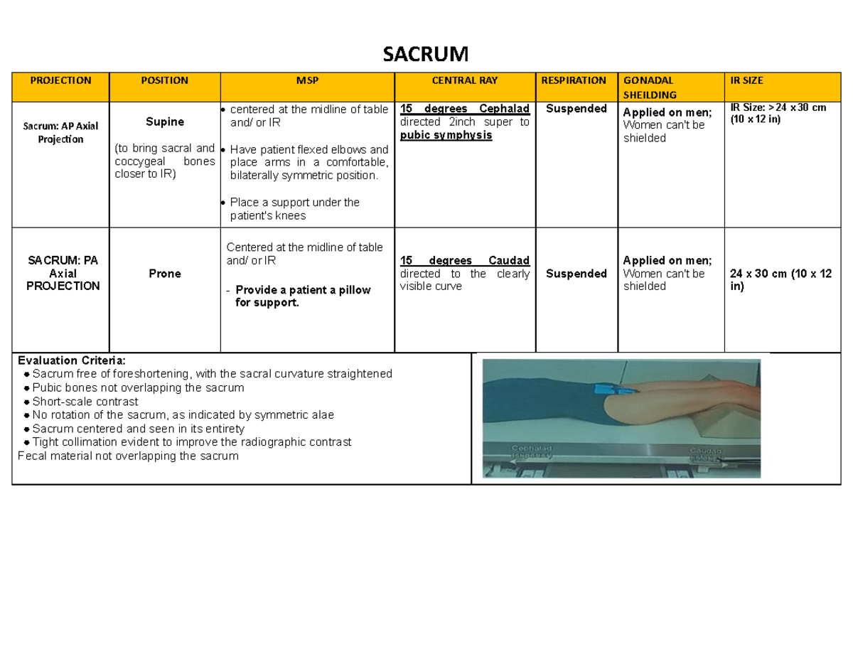 Pos lecture-1111111111 - SACRUM PROJECTION POSITION MSP CENTRAL RAY ...