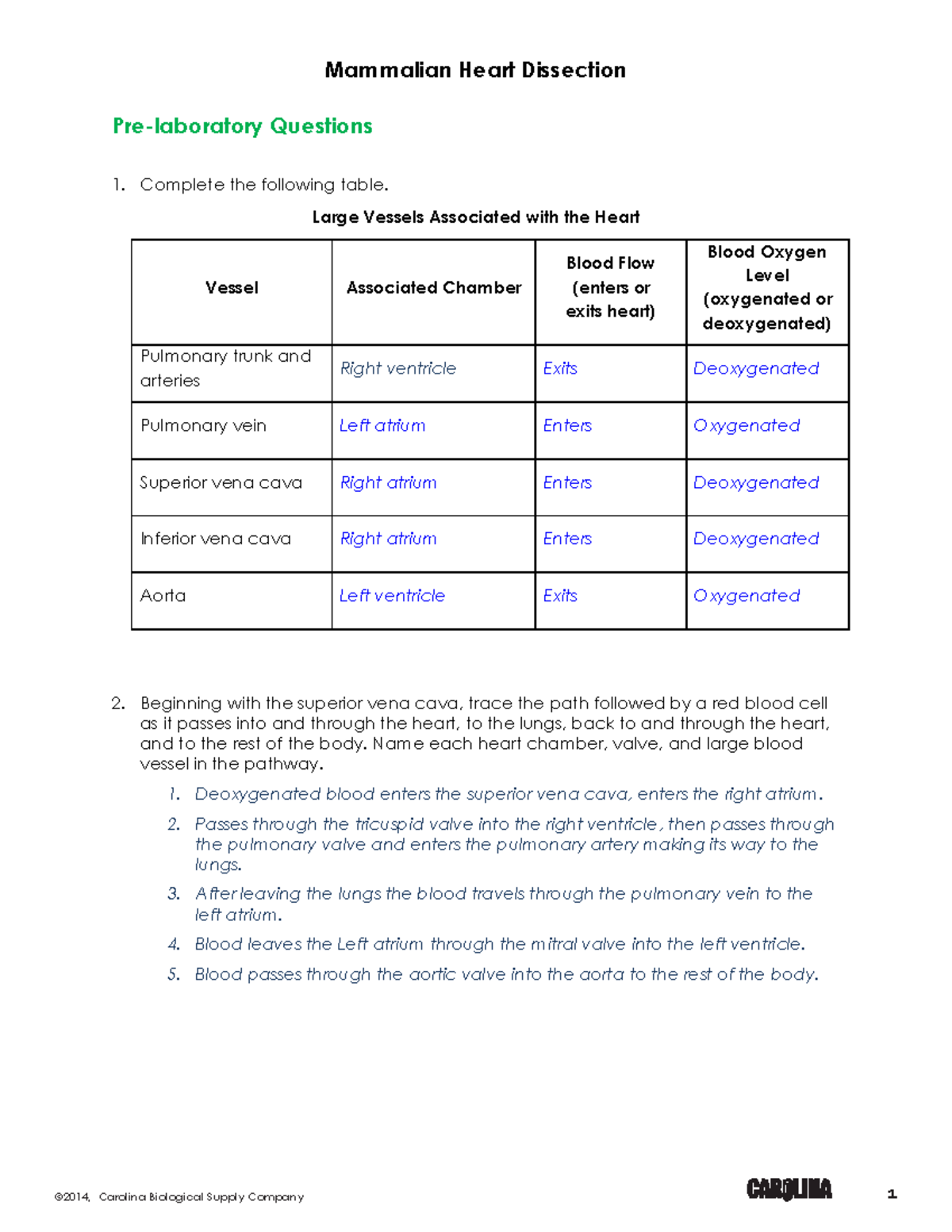 Mammalian Heart Dissection Pre Lab Q copy - ©2014, Carolina Biological ...