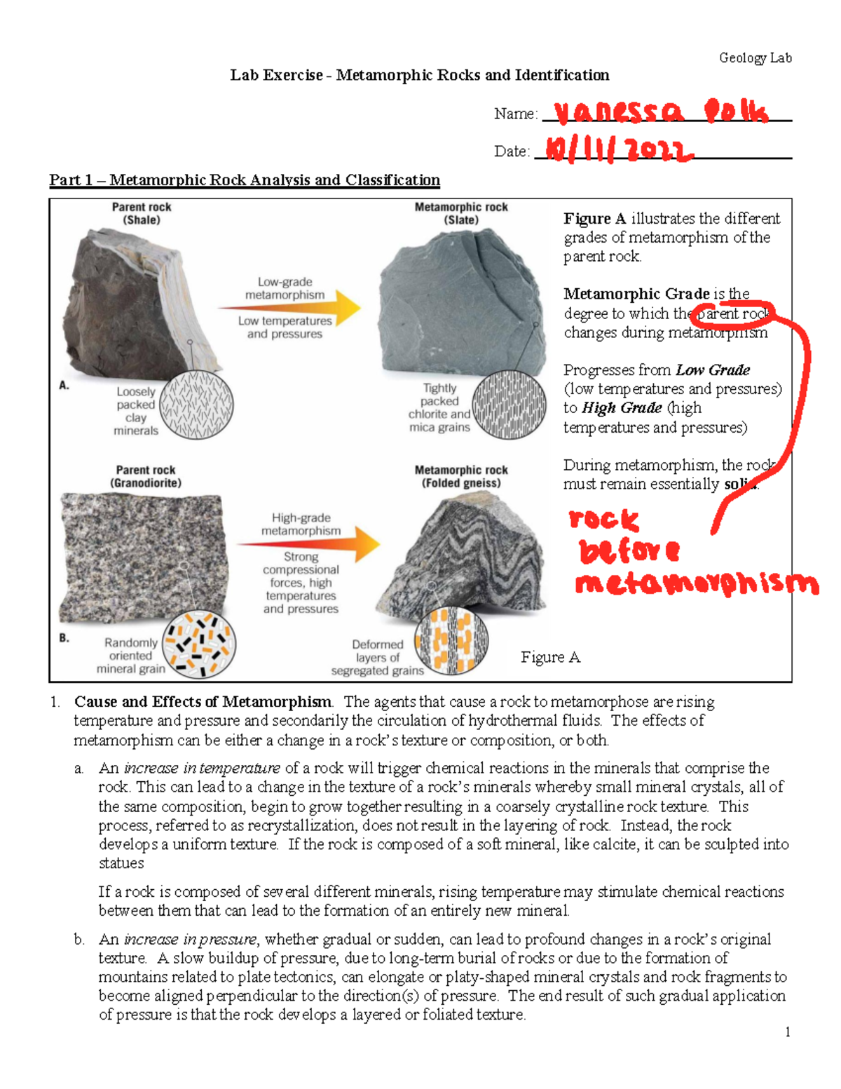 Lab Exercise - Metamorphic Rocks and Identification - Deprecated API ...