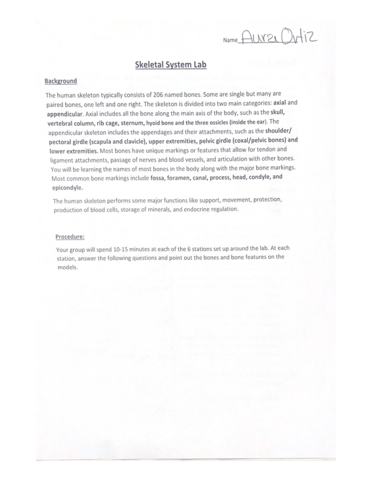 Complete Skeletal System Lab (BIO 101) - Bone Identification and ...