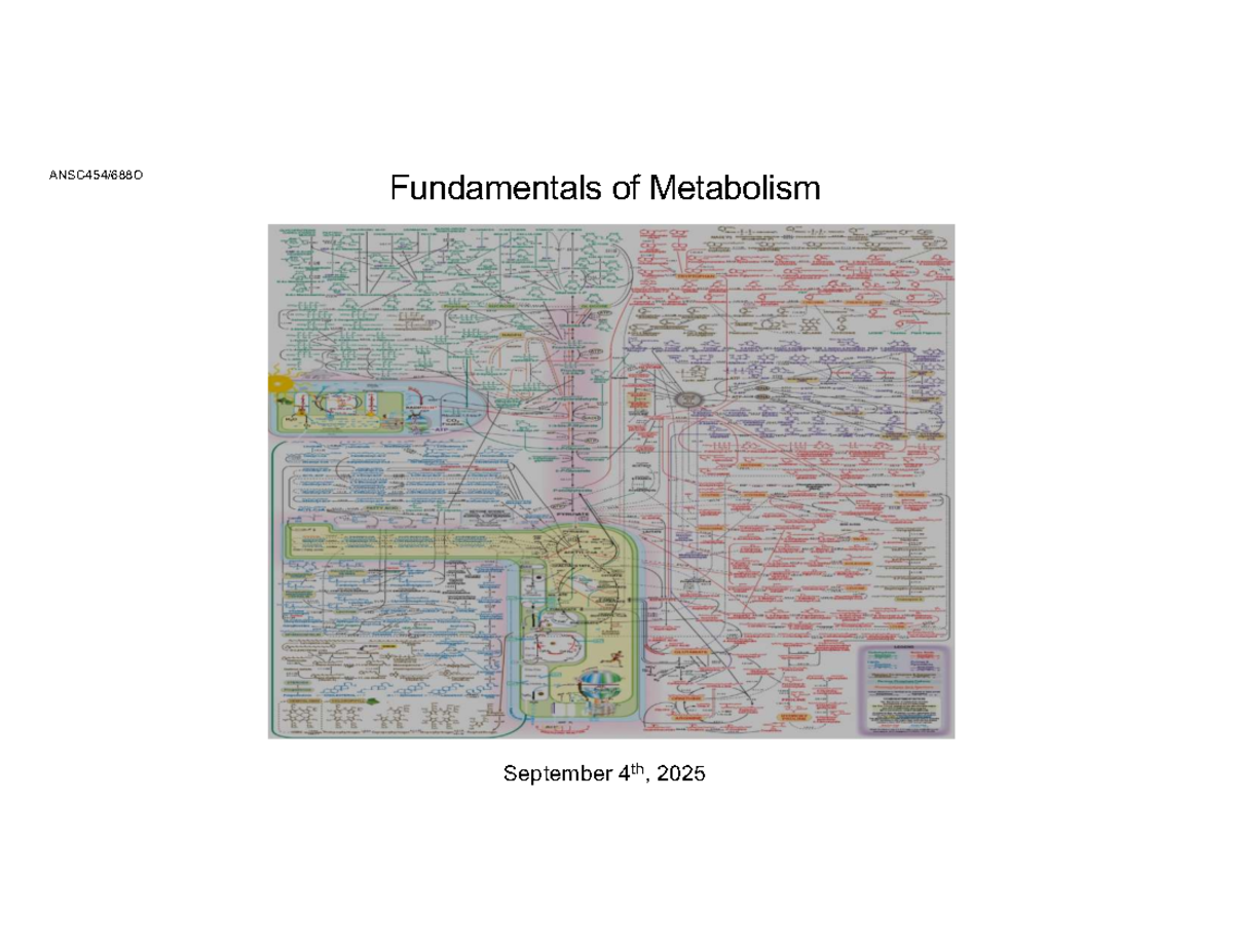 ANSC454/688O Lecture Notes: Metabolism & Nutritional Aspects - Studocu