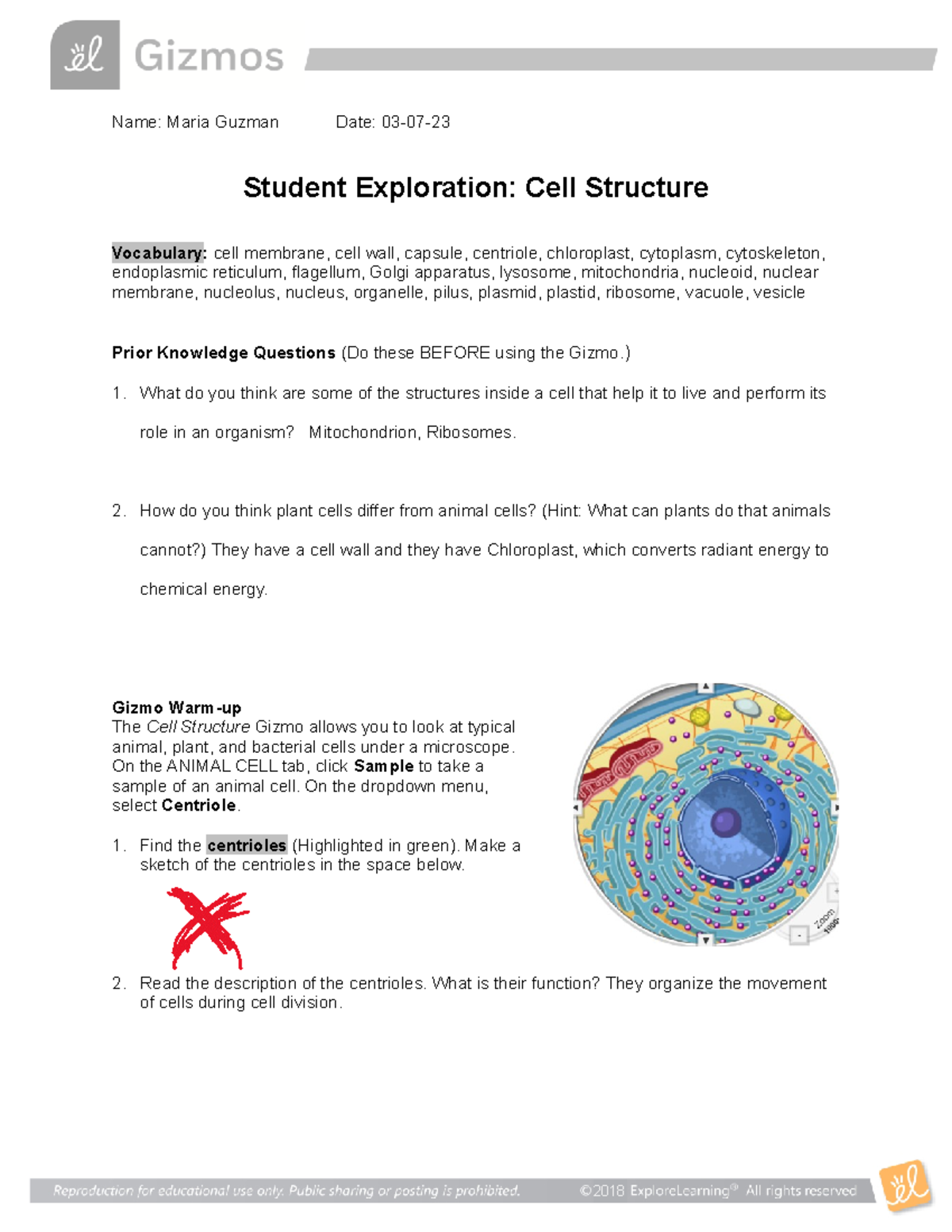 Cell Structure Exploration SE 2 - Comprehensive Notes - Studocu