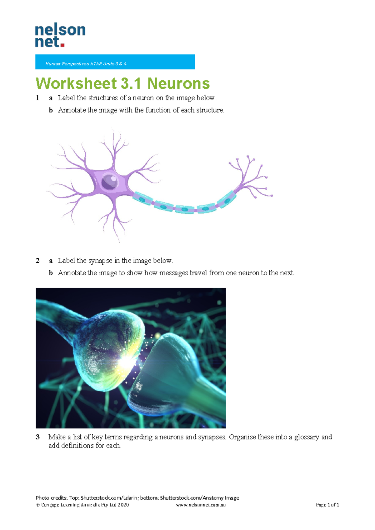 Human Biology Chapter 3 worksheet 1 - Human Perspectives ATAR Units 3 ...
