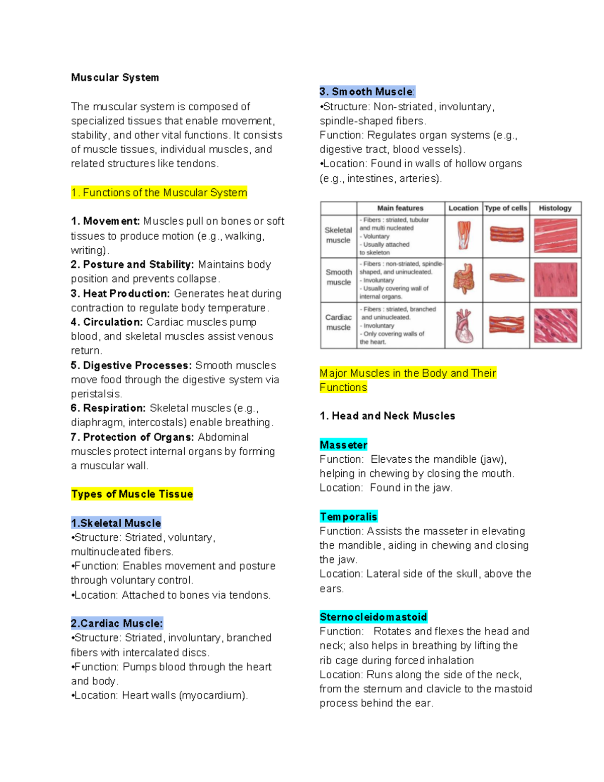 Muscular System Notes (BIO 101) - Functions, Types, and Disorders - Studocu