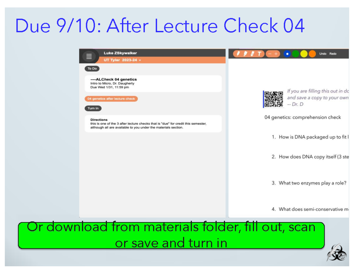Genetics 04: DNA Replication, Protein Synthesis & Mutations Review ...