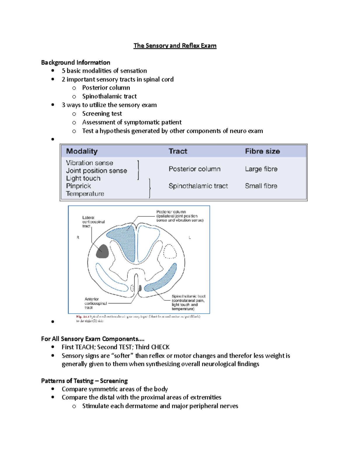 Comprehensive Overview of Sensory and Reflex Exam Techniques (NEURO 101 ...