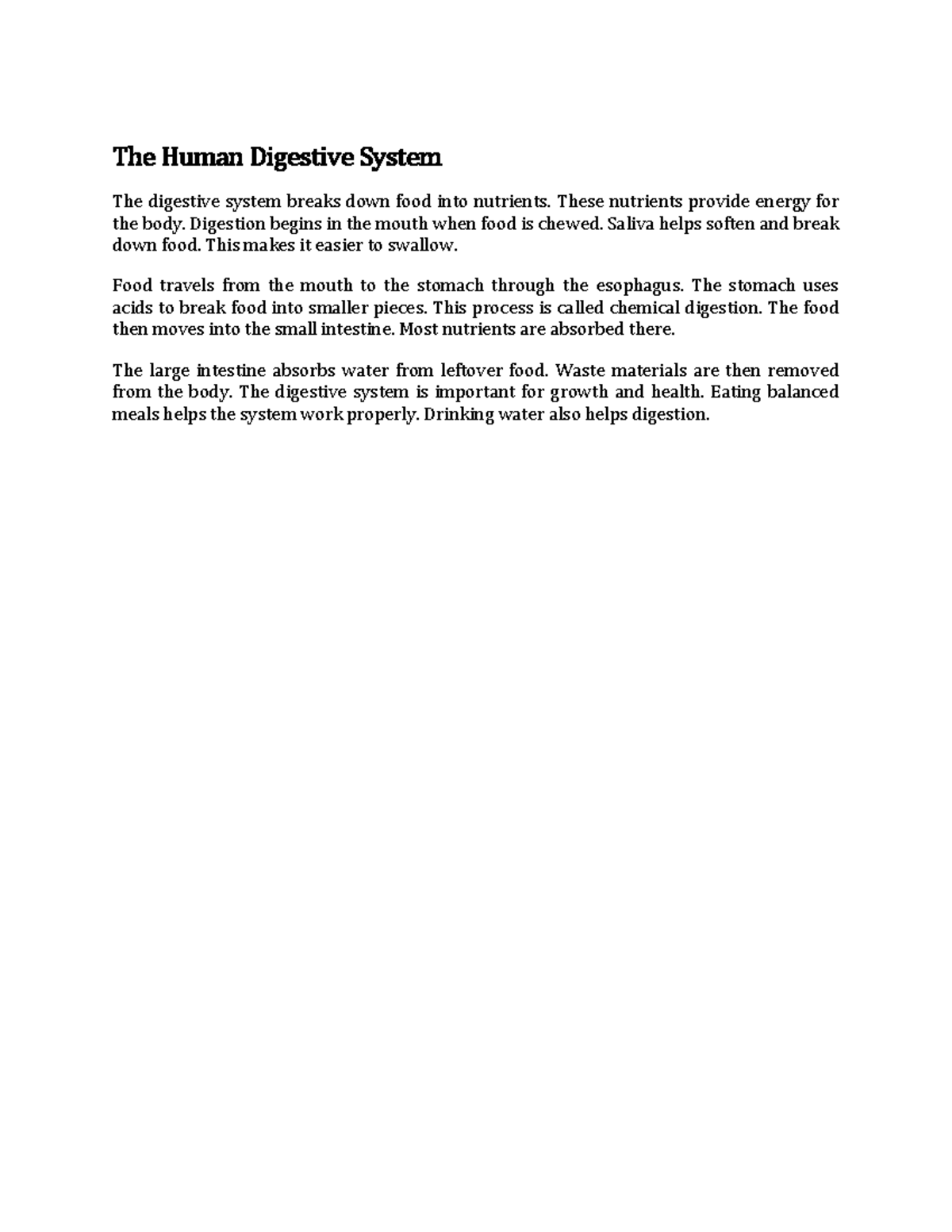 The Human Digestive System: Functions and Processes Explained - Studocu