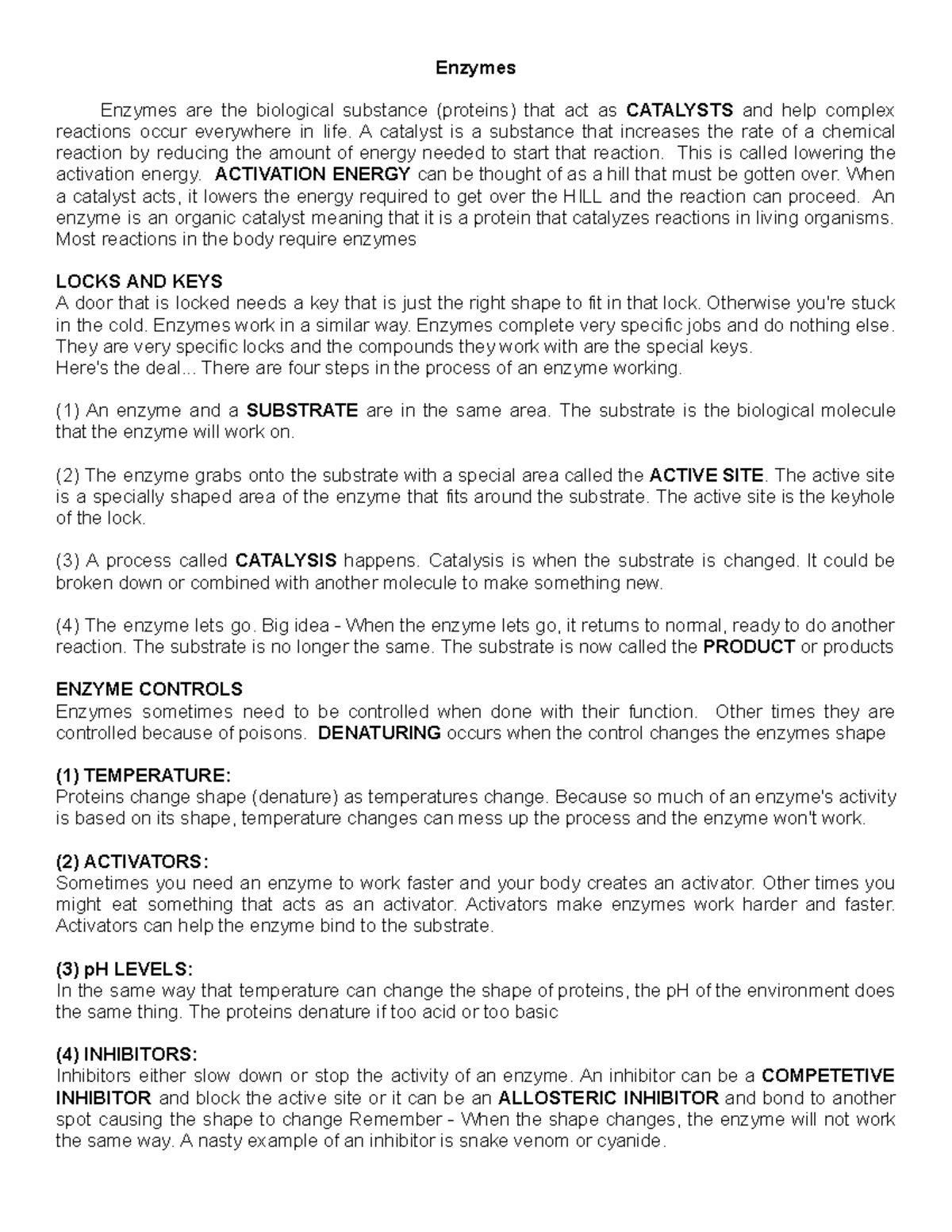 Enzymes Worksheet - Study Notes for Bio 101 - Studocu