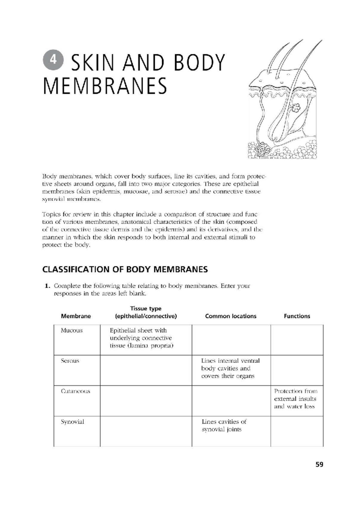 Integumentary System: Chapter 4 - Skin and Body Membranes Overview ...