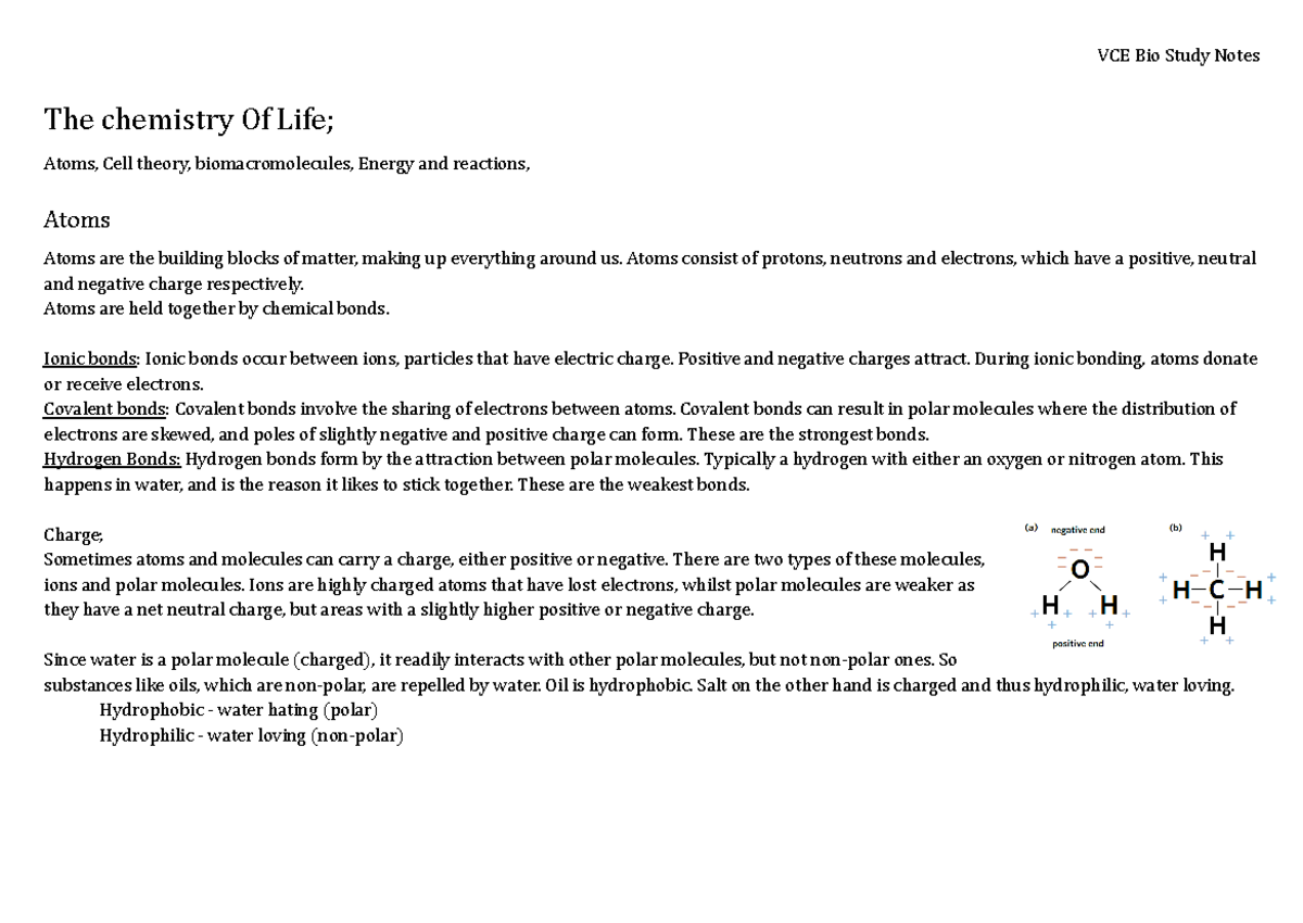 Start Of Year Bio Notes Document - VCE Bio Study Notes The chemistry Of ...