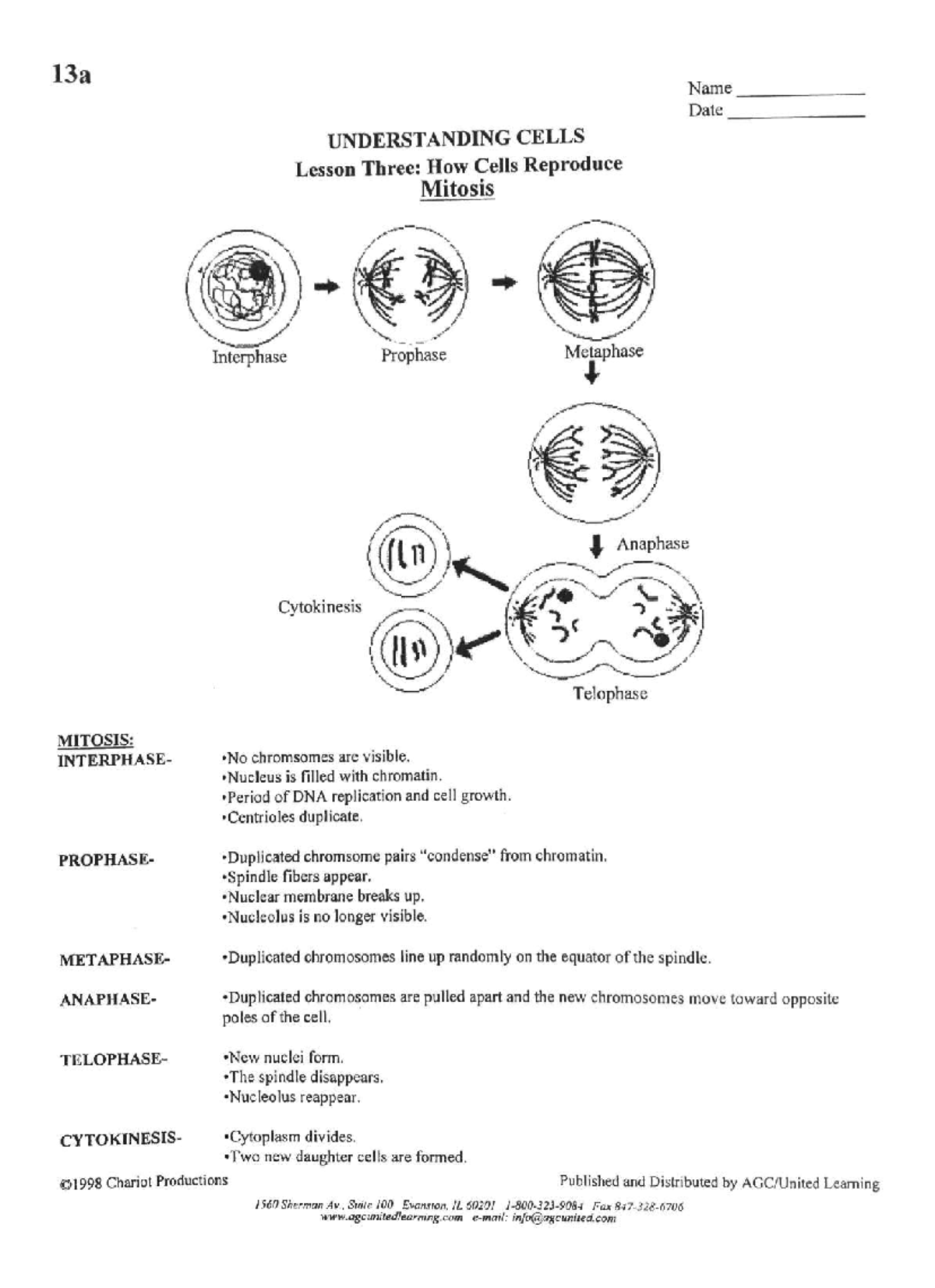 Mitosis Cheat Sheet - bio - 13a Name Date UNDERSTANDING CELLS Lesson ...