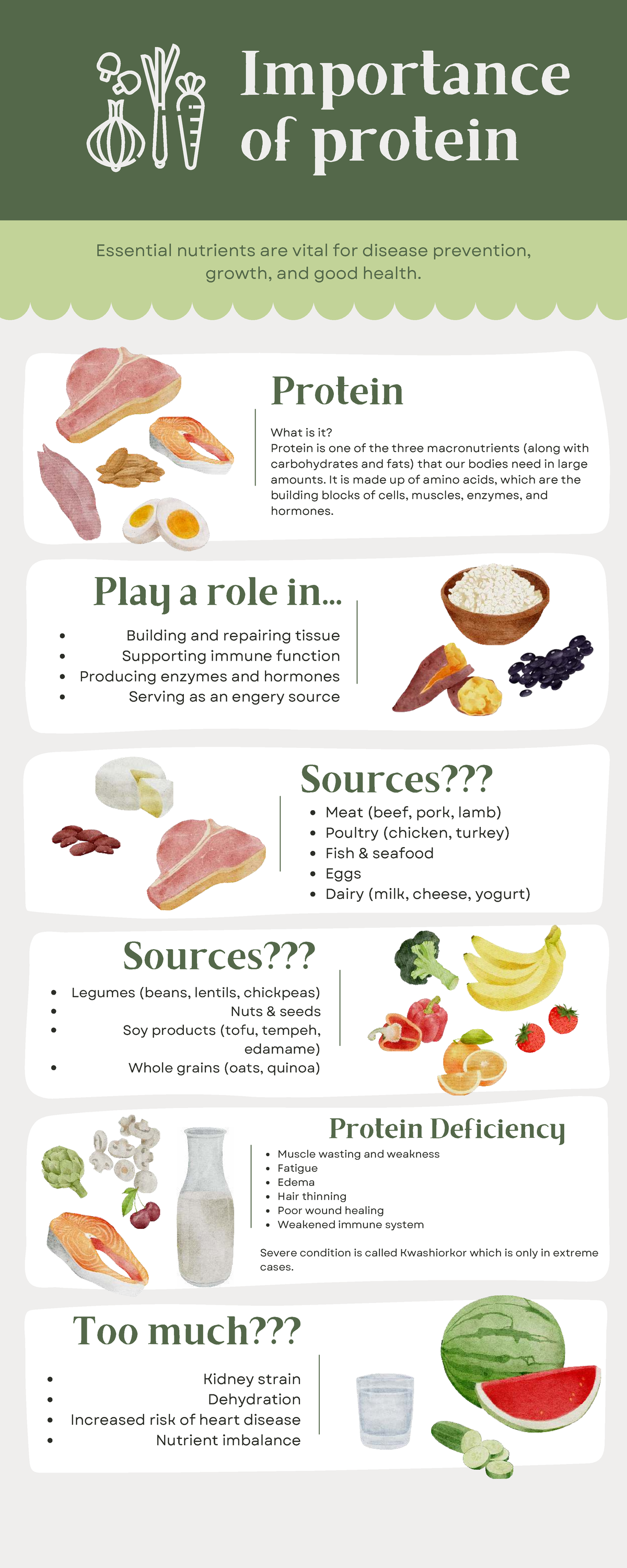 Nutrition - Overview of Protein's Role in Health and Disease Prevention ...
