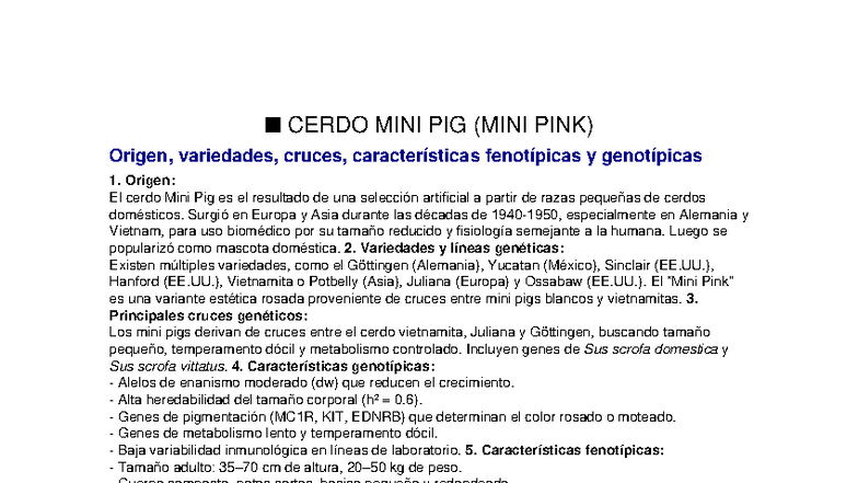 Cerdo Mini Pig Informacion Completa - n CERDO MINI PIG (MINI PINK ...