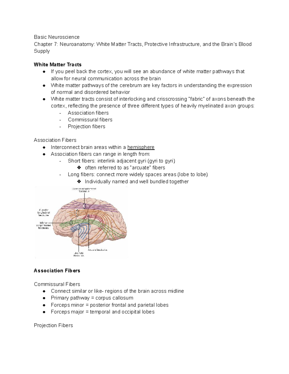 Basic Neuroscience - Chapter 7: White Matter Tracts & Vascular ...