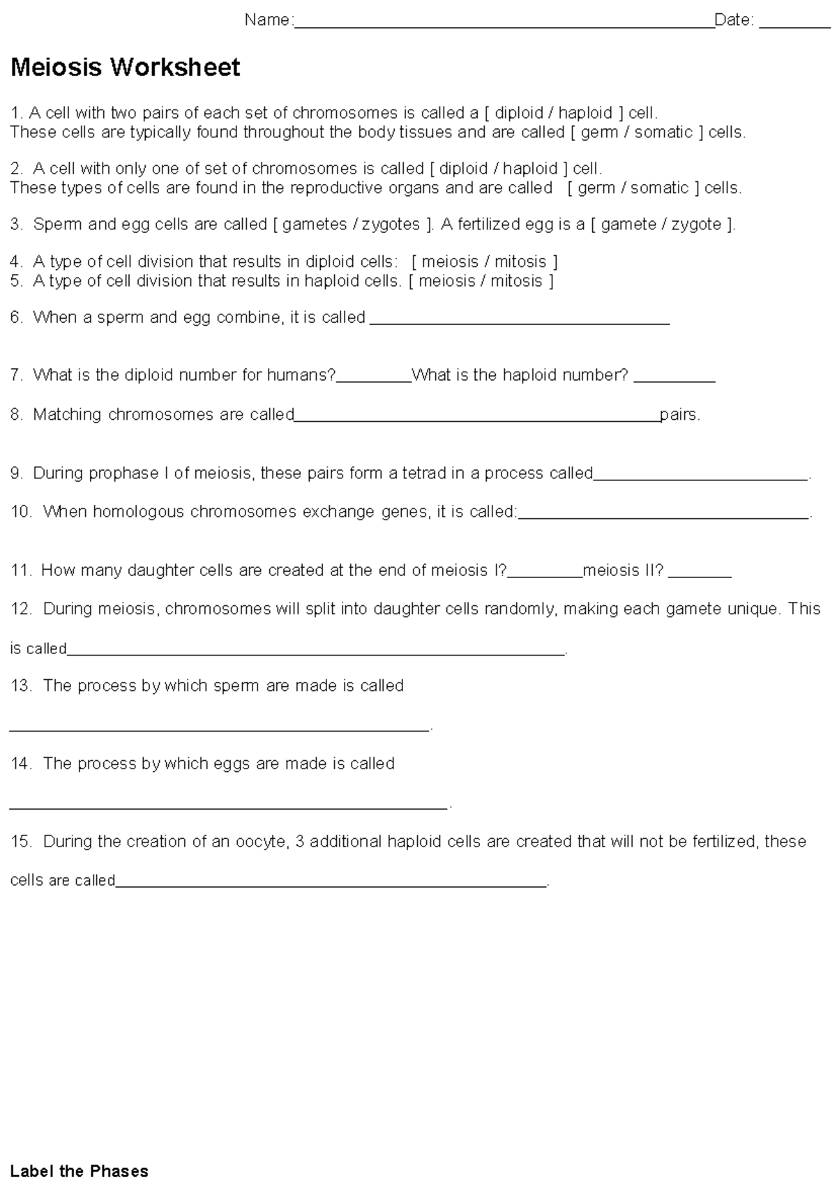 Meiosis Worksheet: Understanding Diploid and Haploid Cells - Studocu