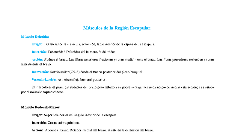 Músculos de la Región Escapular y Pectoral - Anatomía (MS) - Studocu