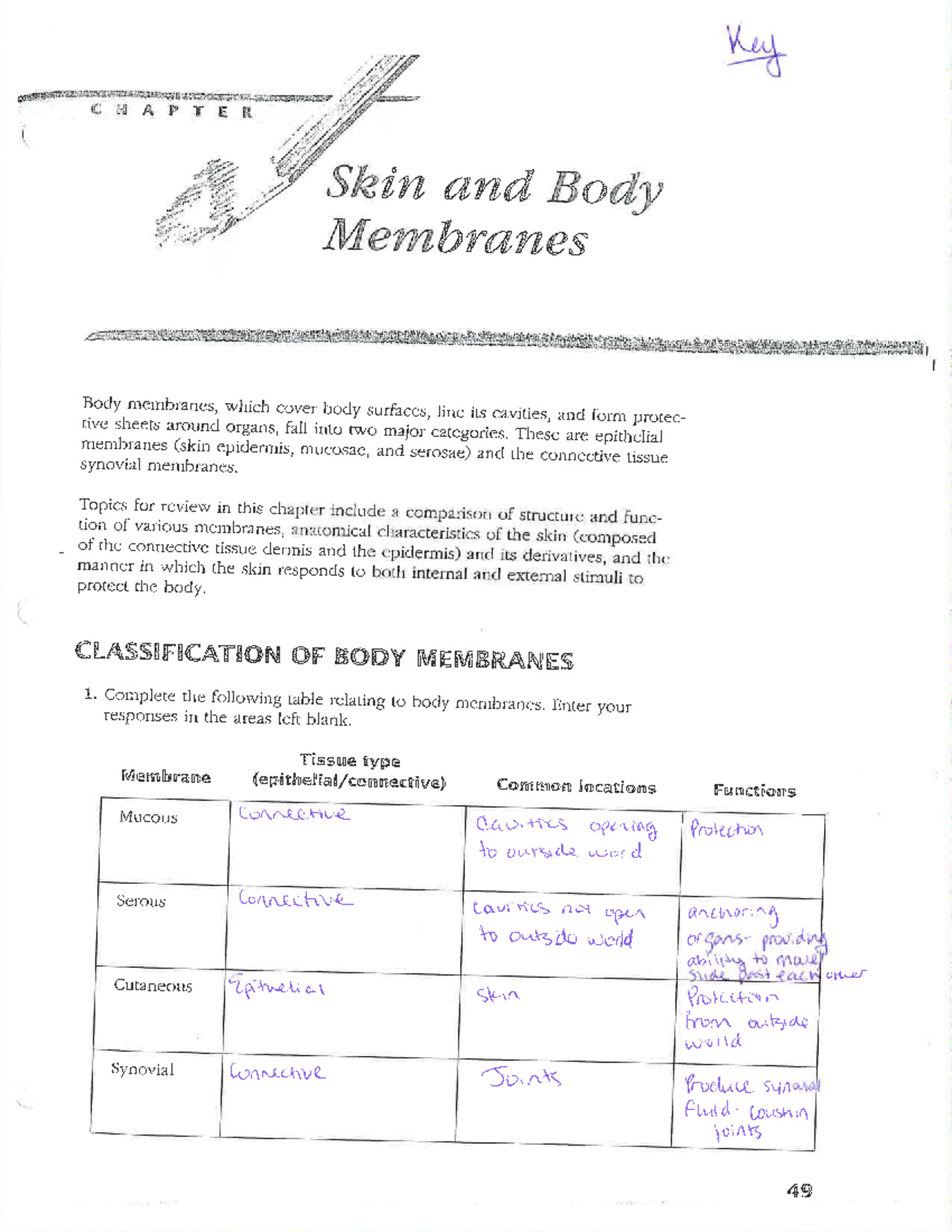 Skin and Body Membranes Study Guide Answer Key - Studocu
