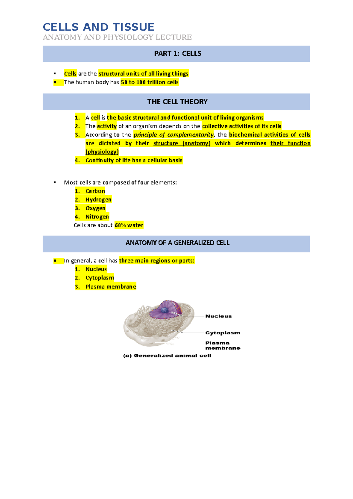 ANAPHY LEC NOTES - Cells and Tissue 1 107 Overview and Concepts - Studocu