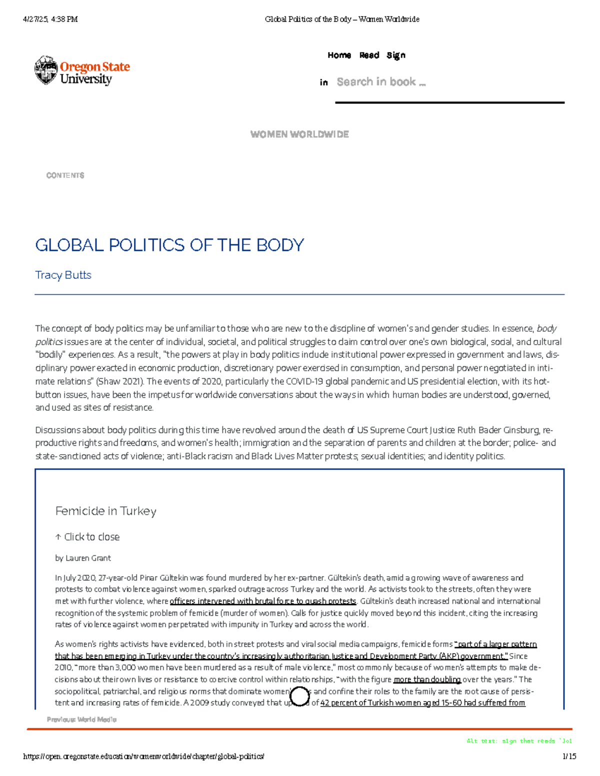 Global Politics of the Body: Analyzing Women’s Rights & Feminism - Home ...