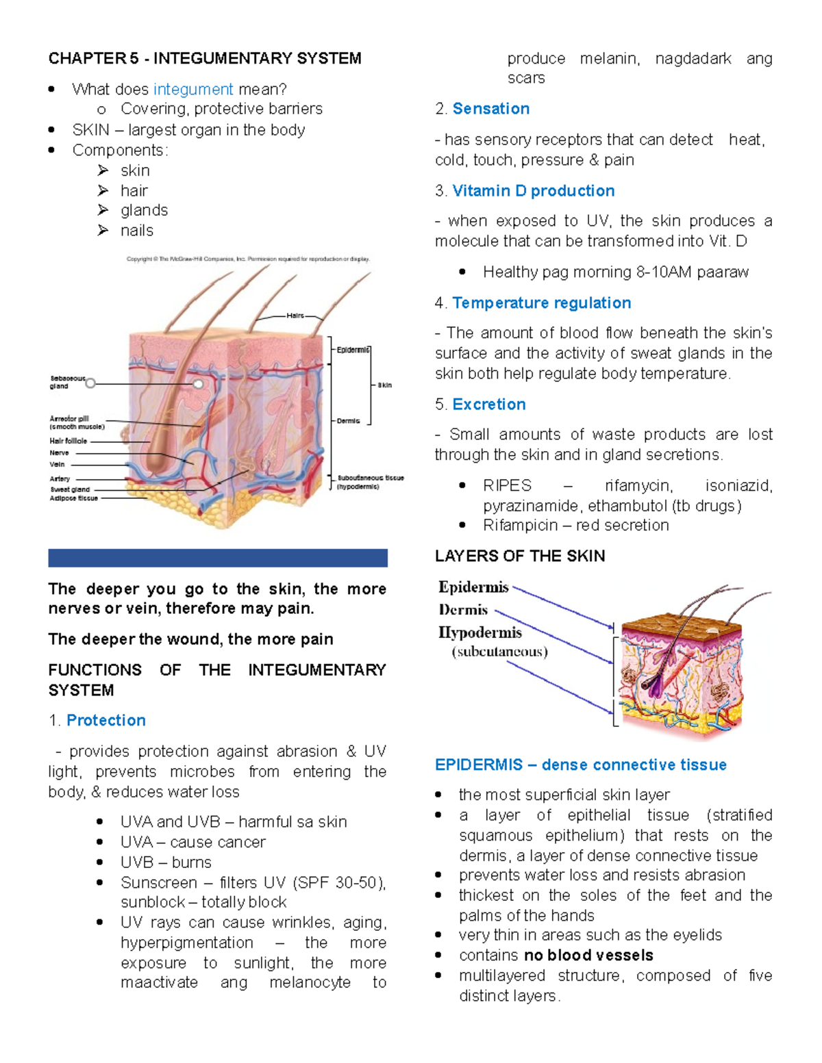 Anaphy - Chapter 5: Key Insights on Integumentary System Functions ...