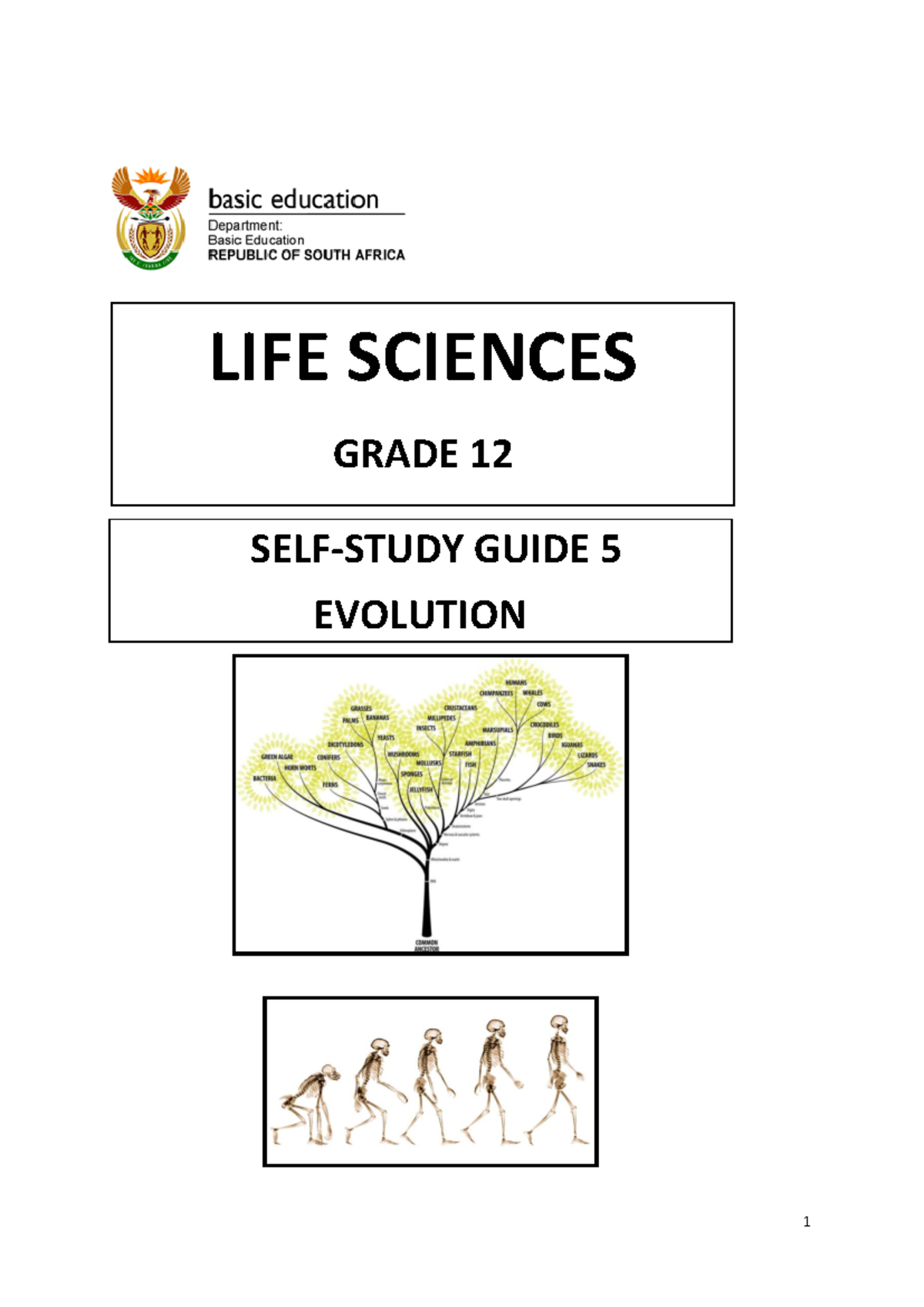 DBE evolution 2 july final 2 - SELF-STUDY GUIDE 5 EVOLUTION LIFE ...