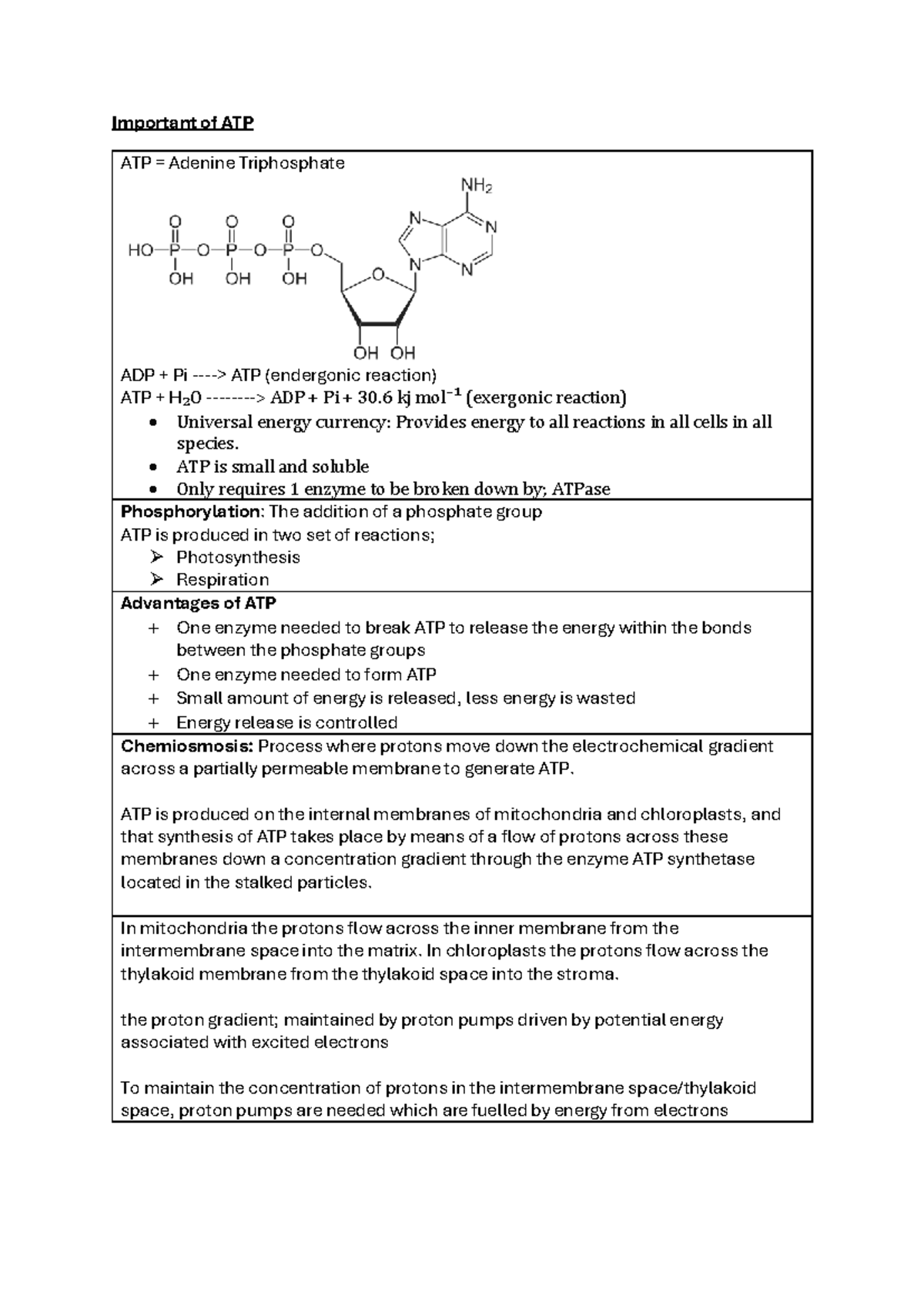 Importance of ATP - Paper 1: Energy Currency in Cells - Studocu