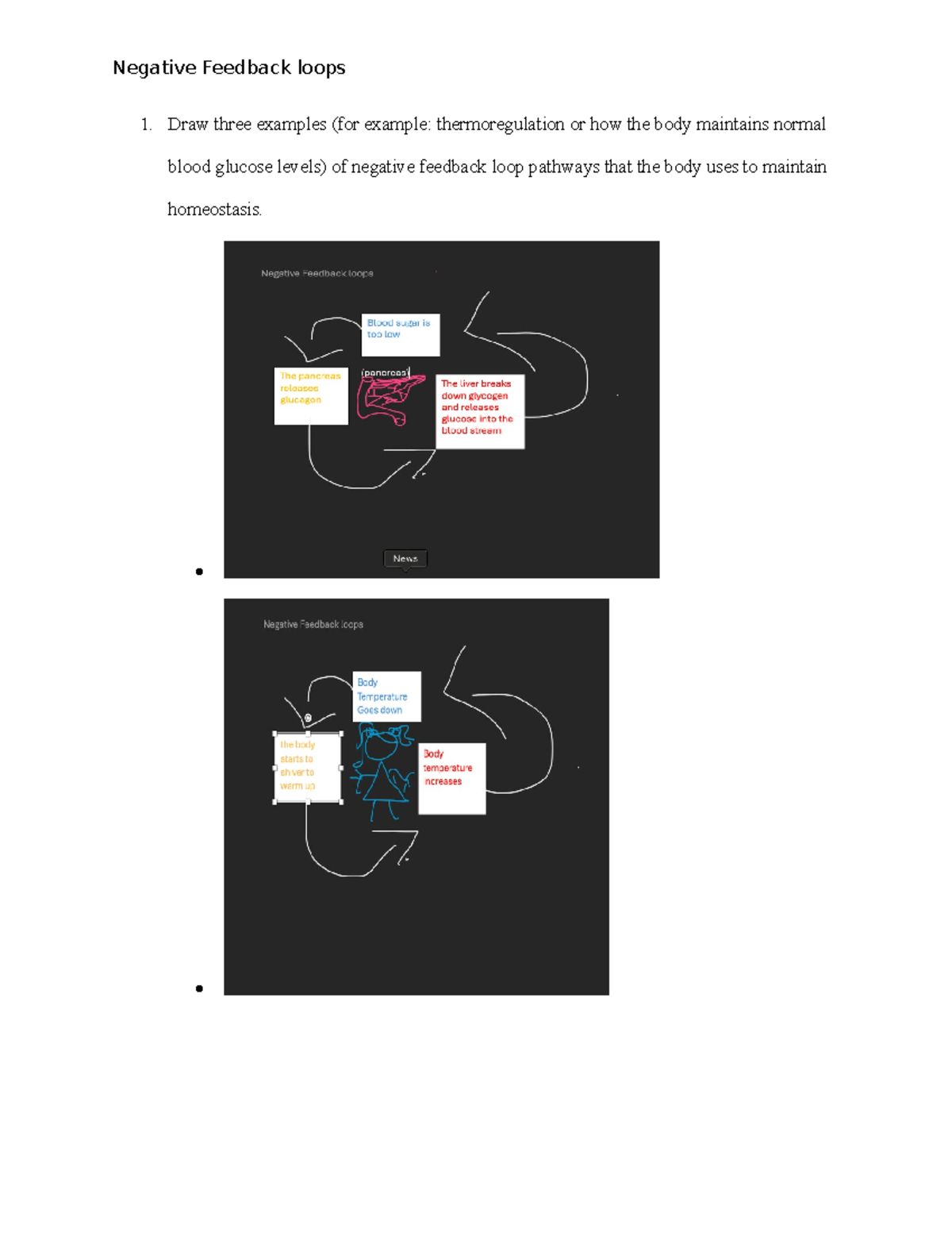 Week 1 virtual discussion - Negative Feedback loops 1. Draw three ...