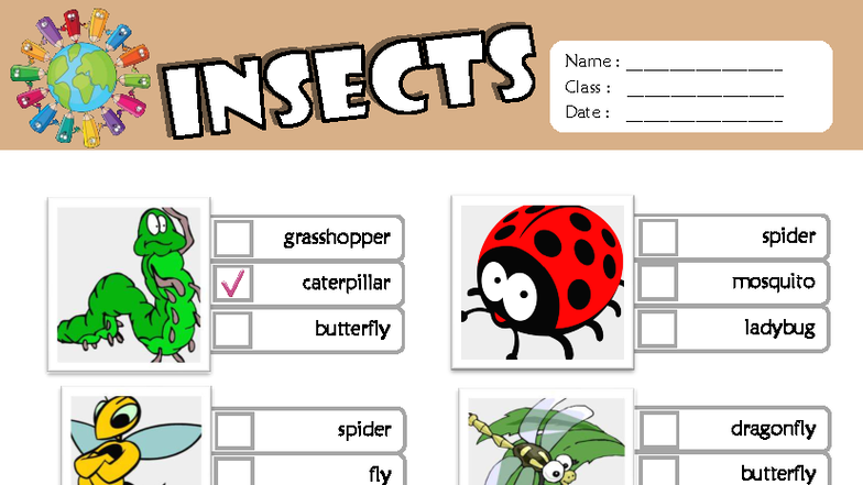 Insects esl vocabulary multiple choice worksheet for kids - Name ...