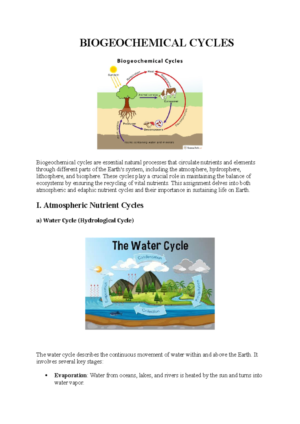 Biogeochemical Cycles - BIOGEOCHEMICAL CYCLES Biogeochemical cycles are ...