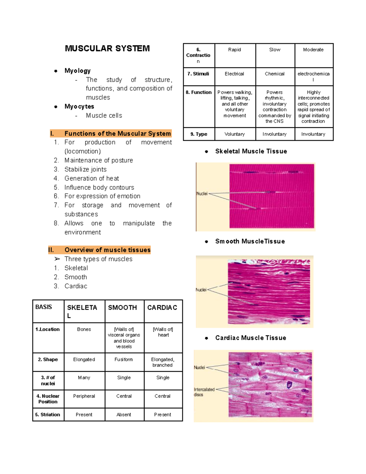 Muscular-System - SUMMARY - MUSCULAR SYSTEM Myology - The study of ...