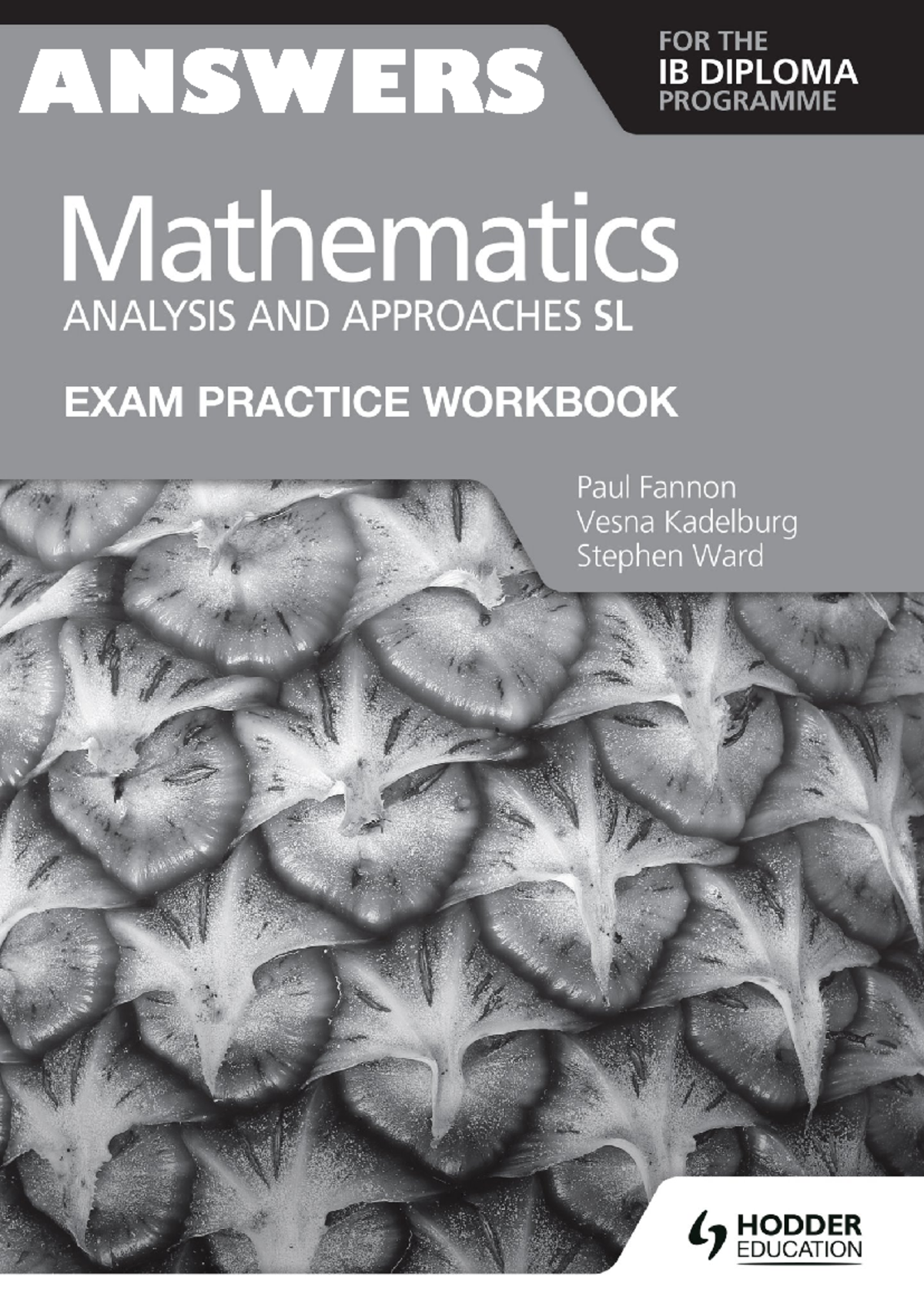 Mathematics 97389 SL - Analysis & Approaches Exam Practice Workbook ...