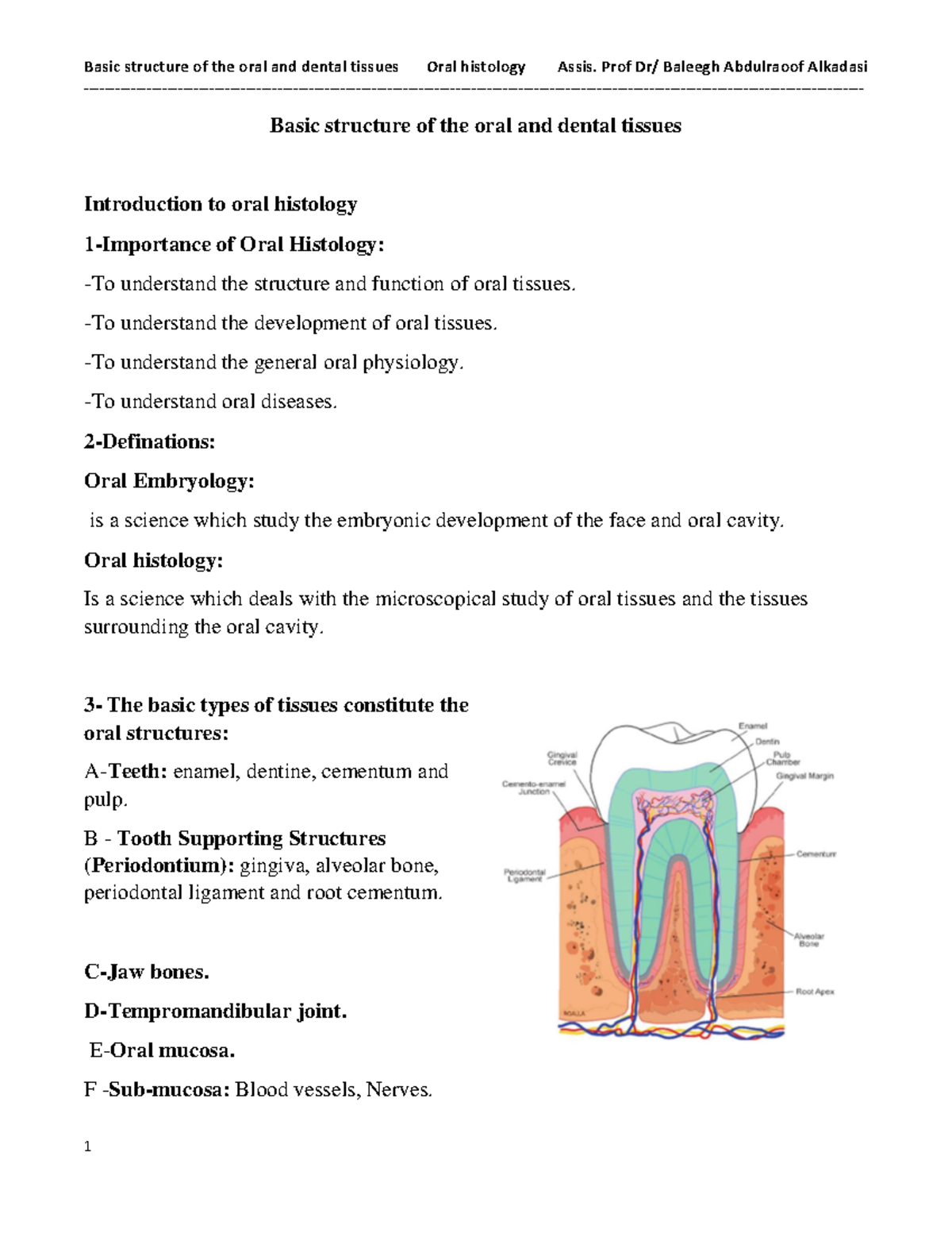 Oral Histology: Basic Structure of Oral and Dental Tissues - Studocu