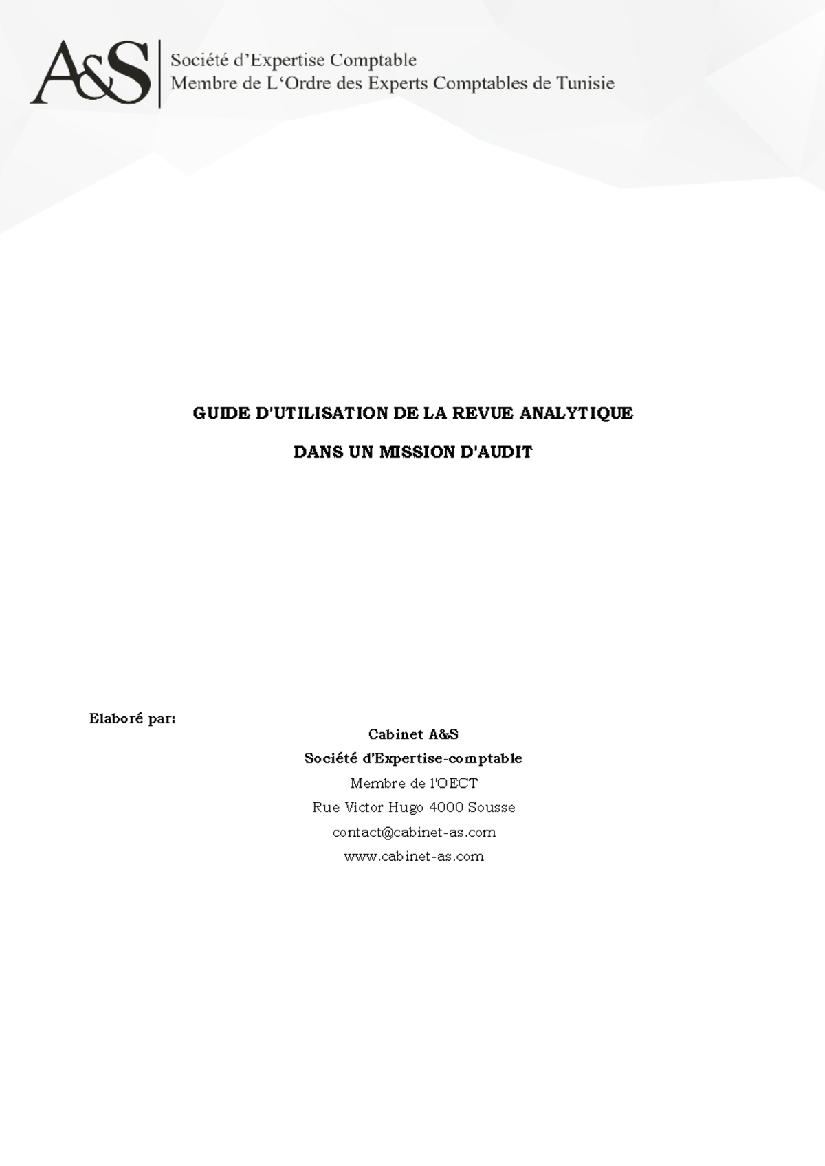 Guide d'Utilisation de la Revue Analytique en Mission d'Audit - Studocu