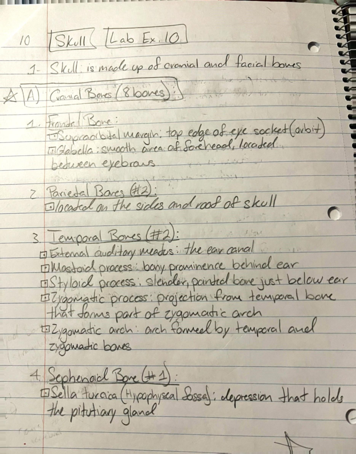 Title for Document: "Comprehensive Study Notes for Course XYZ 101 ...