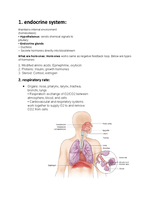 Subjective vs Objective Assessment Findings - Subjective vs. Objective ...