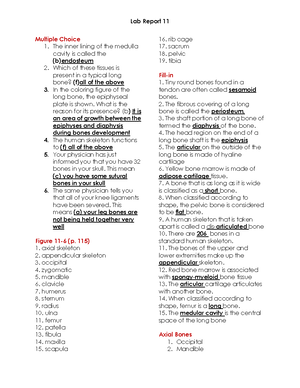 Anatomy AND Physiology Laboratory- First Reviewer - Human Anatomy ...