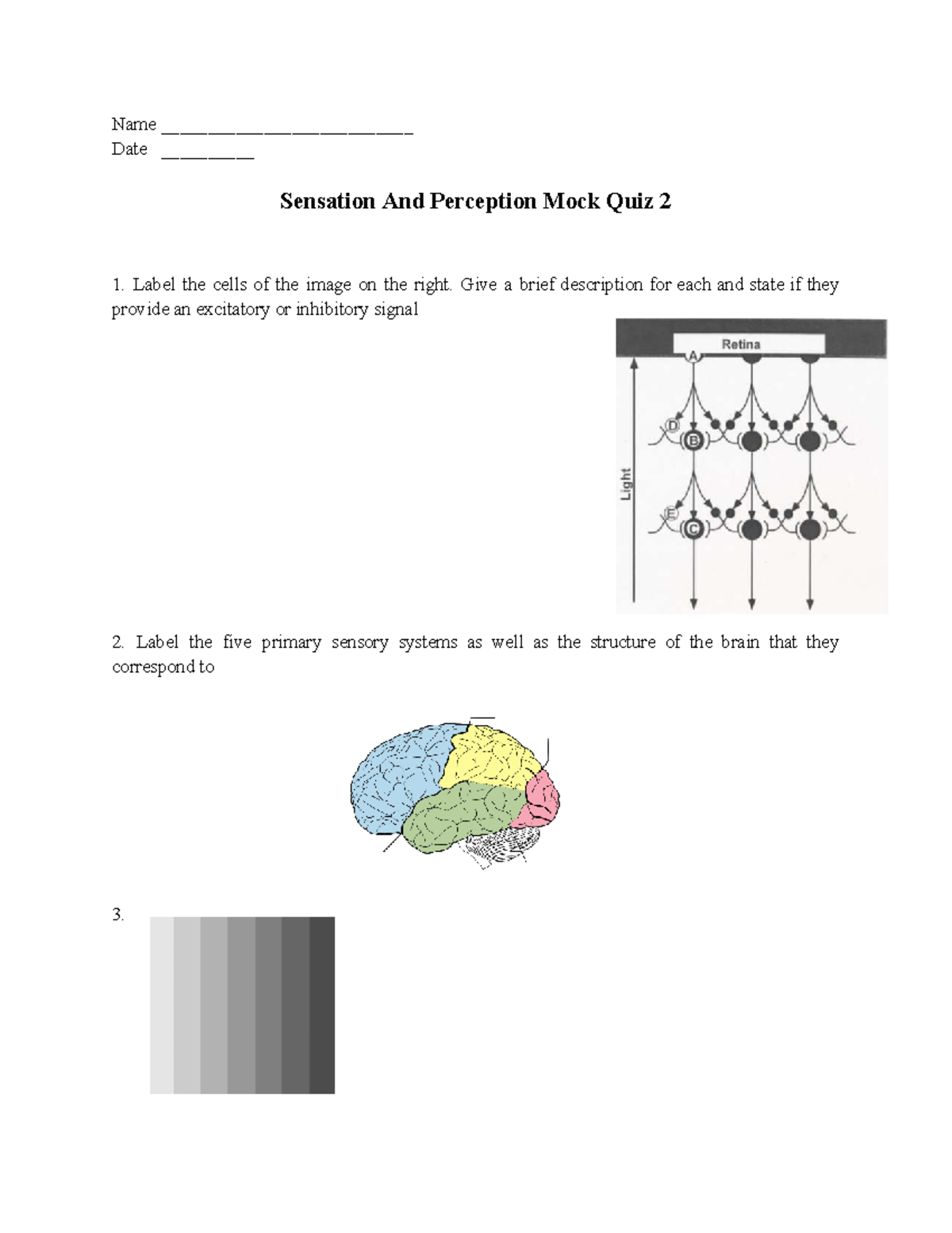Sensation and Perception Mock Quiz 2 - PSY 101 Concepts - Studocu