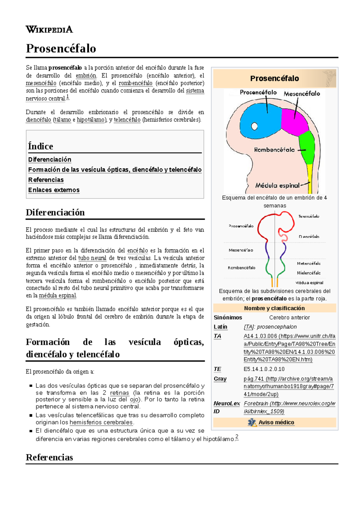 Prosencéfalo: Desarrollo y Diferenciación del Encéfalo Embrionario ...