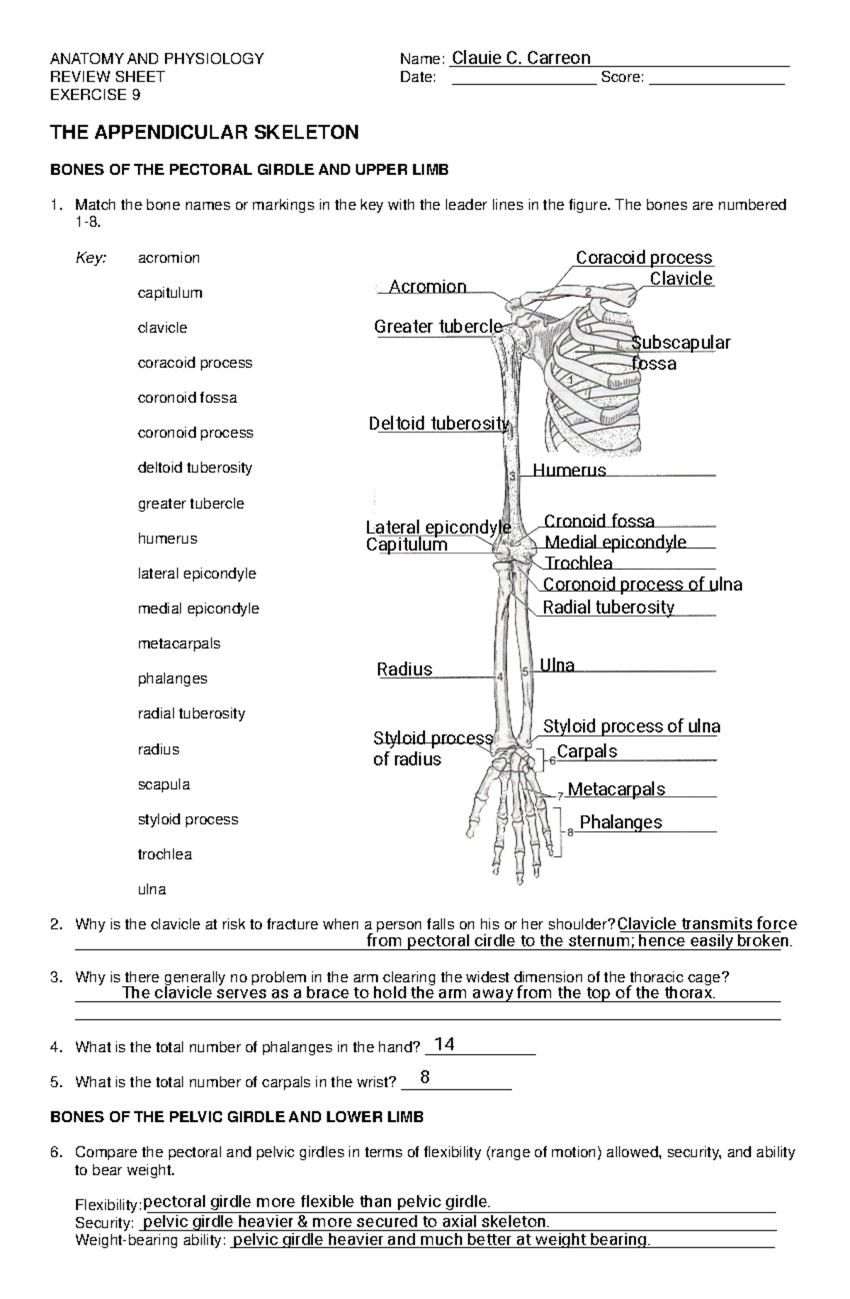 Exercise 9: Detailed Review of the Appendicular Skeleton Anatomy - Studocu