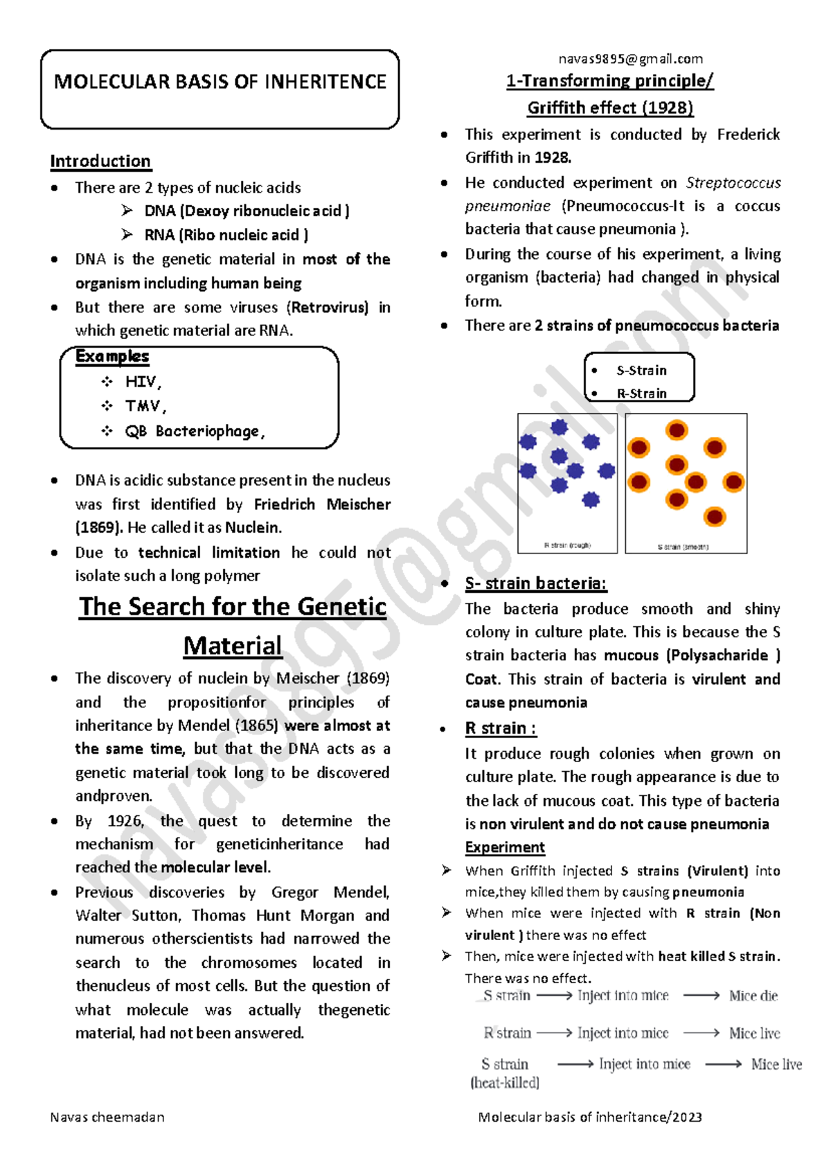 Molecular Basis of Inheritance - Notes for Bio 04 Course 2023 - Studocu