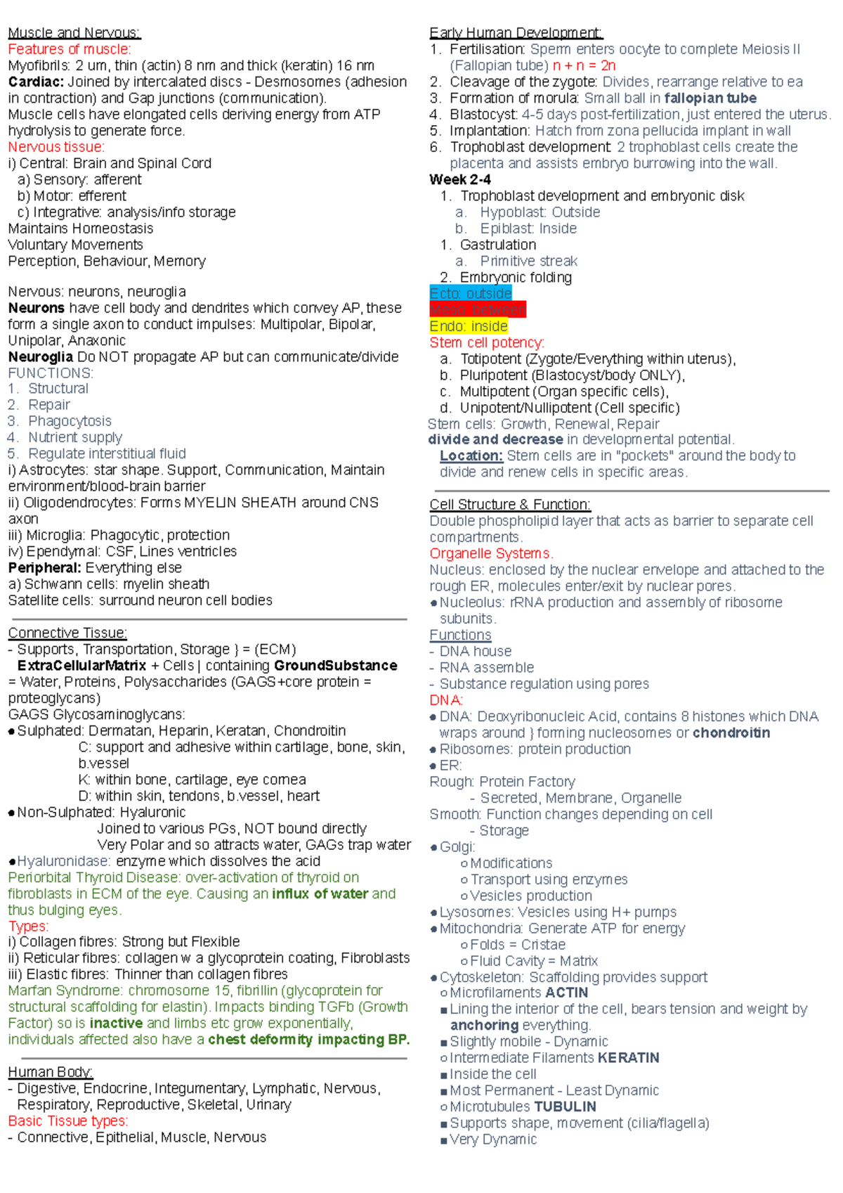 Muscle and Nervous Tissue Overview: Cheat Sheet for BIOSCI 107 - Studocu