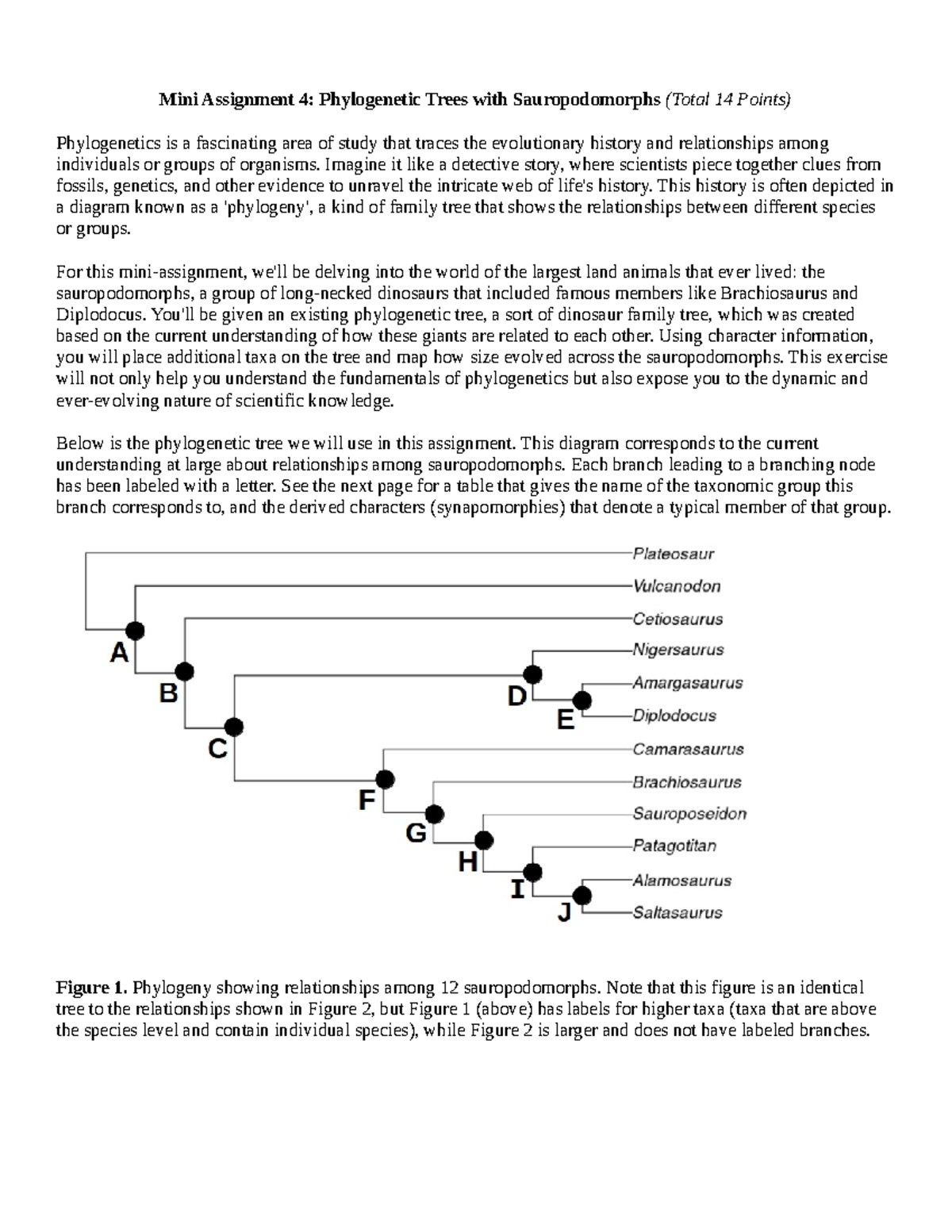 GEOL207 Assignment Phylo Trees with Sauropodomorphs - Mini Assignment 4: Phylogenetic Trees with ...