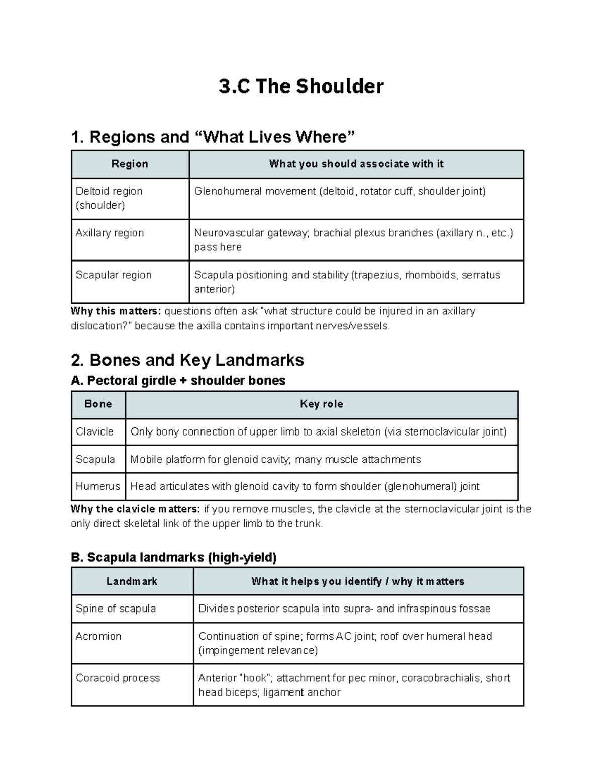 3C 3D - Shoulder Anatomy and Function Review for Final Exam - Studocu