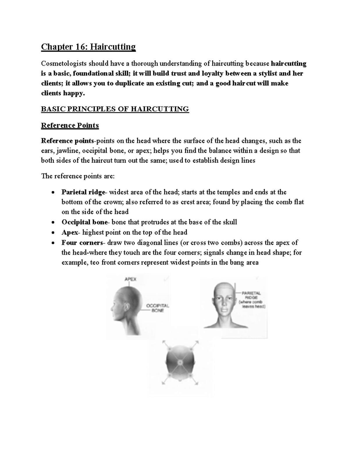 Cos 101: Chapter 16 - Fundamentals of Haircutting Techniques - Studocu