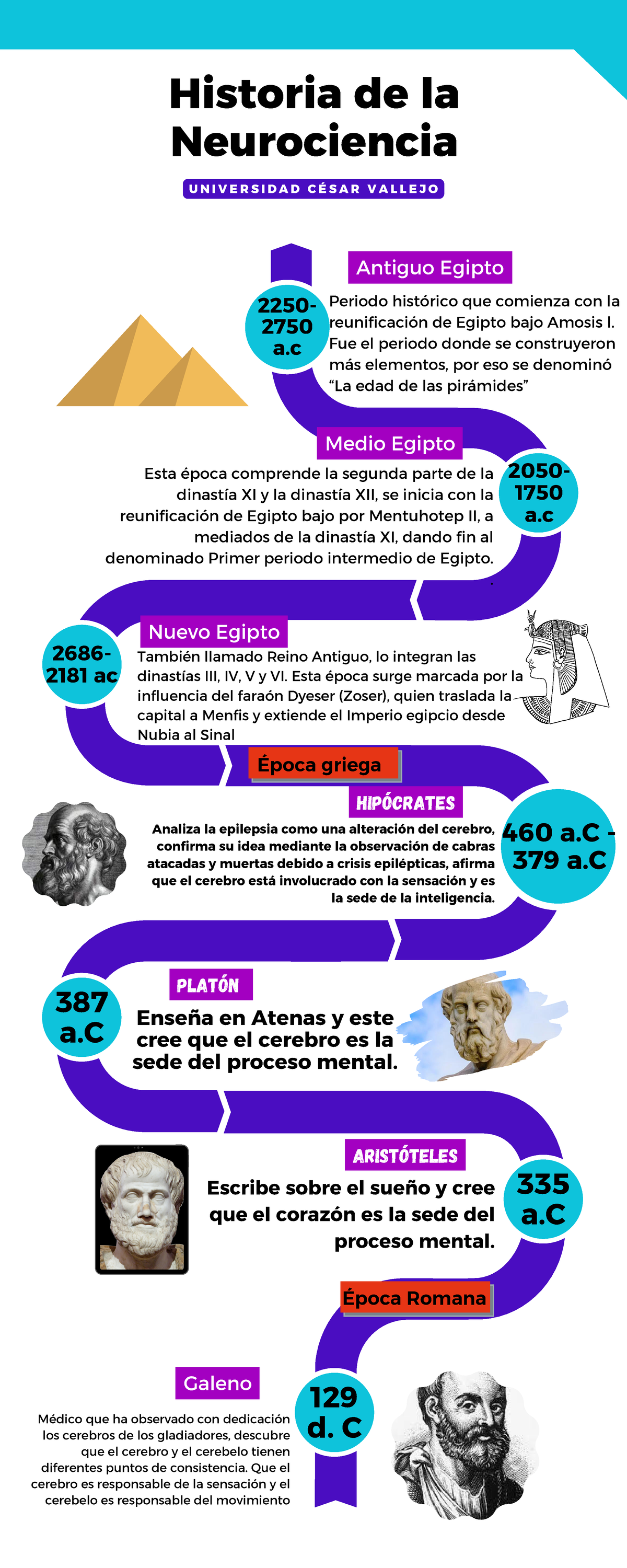Linea DE Tiempo Historia DE LA Neurociencia - También llamado Reino Antiguo, lo integran las ...