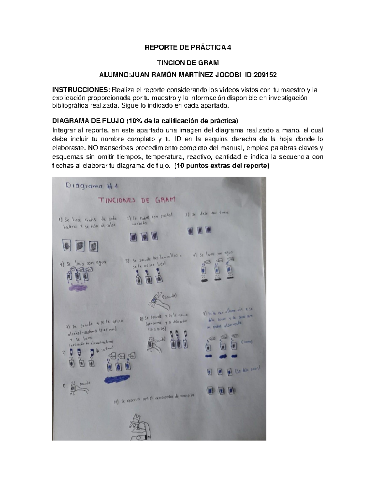 Reporte DE Práctica 4. Tinción DE GRAM - REPORTE DE PRÁCTICA 4 TINCION DE GRAM ALUMNO:JUAN RAMÓN ...