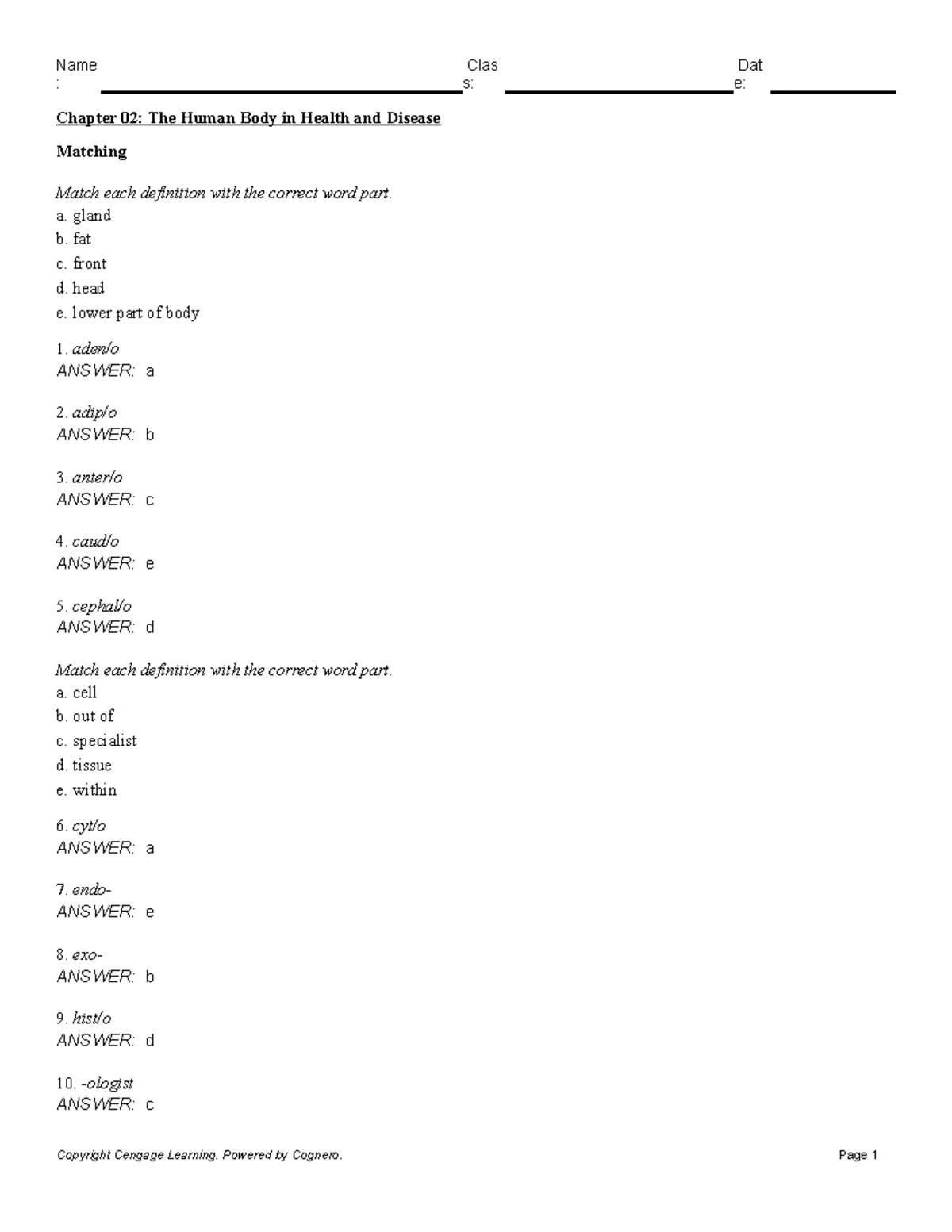 Chapter 01 Introduction to Medical Terminology - Chapter 01 ...