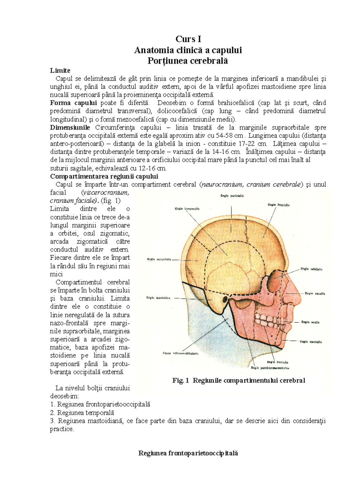 Anatomia Clinică a Capului - Curs I: Compartimentarea Cerebrală - Studocu