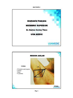 Hemograma - Serie ROJA - UNIVERSIDAD PRIVADA ANTENOR ORREGO FACULTAD MEDICINA HUMANA ESCUELA ...