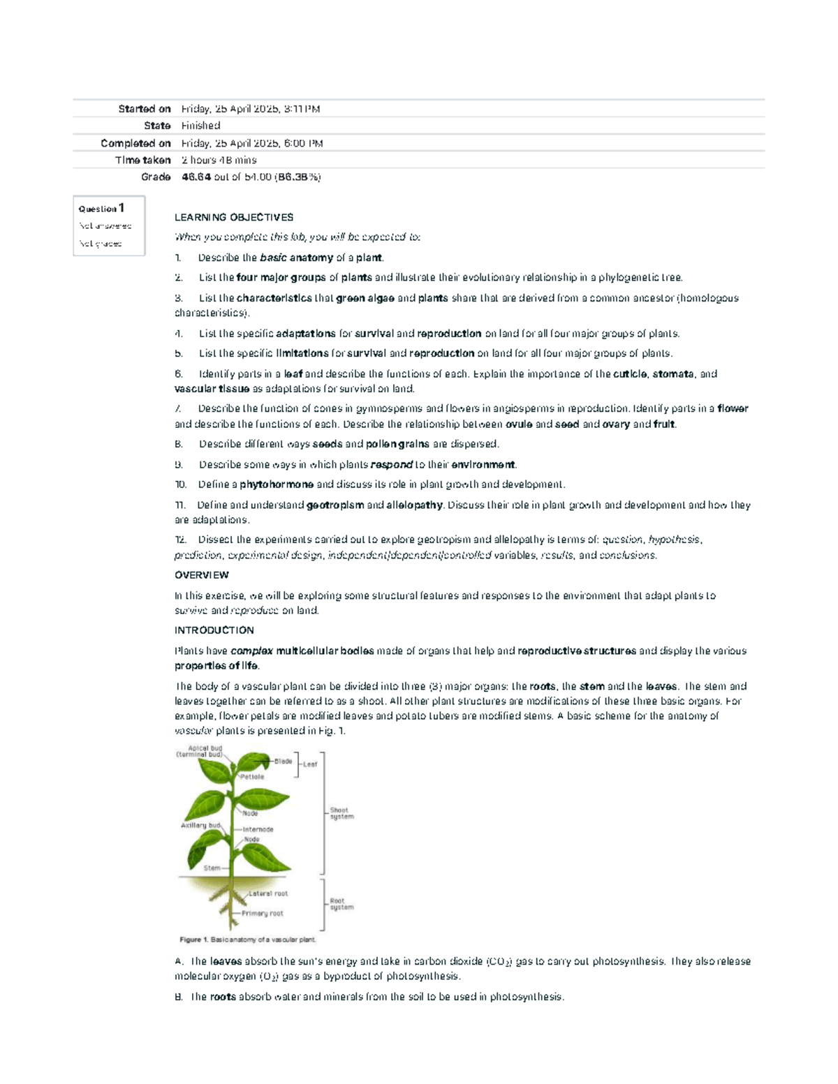 NYA Lab 5: Plant Form and Function - Key Concepts and Adaptations - Studocu